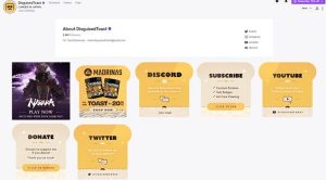 9+ Twitch Bio Ideas (with examples) - Streamsentials