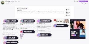9+ Twitch Bio Ideas (with examples) - Streamsentials