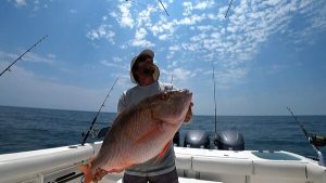 Top 16 IRL Streamers to Follow on Twitch - Streamsentials