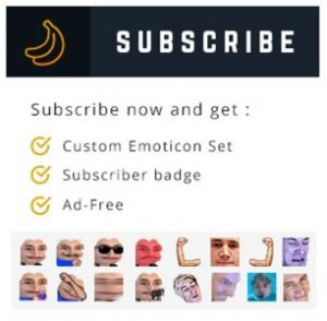 9+ Twitch Bio Ideas (with examples) - Streamsentials