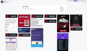 9+ Twitch Bio Ideas (with examples) - Streamsentials